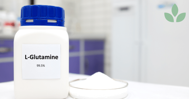 Glutamiini on kehon yleisin aminohappo - Terveysvaikutukset